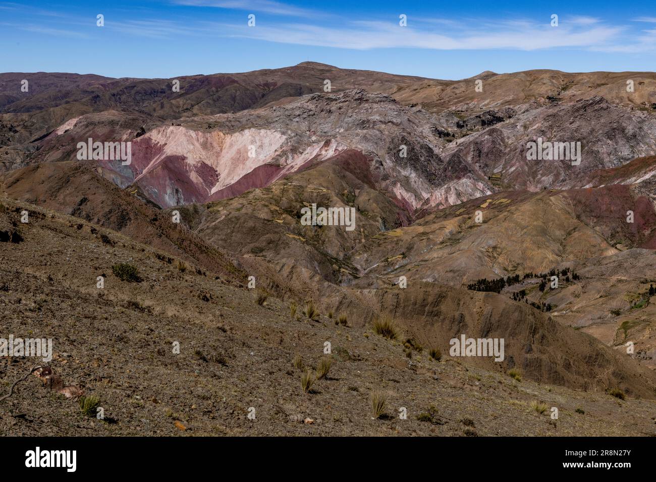 Colorful mountain landscape in the remote Bolivian Andes between ...