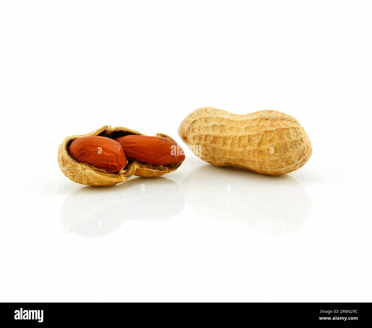 Peanut colored hi-res stock photography and images - Alamy