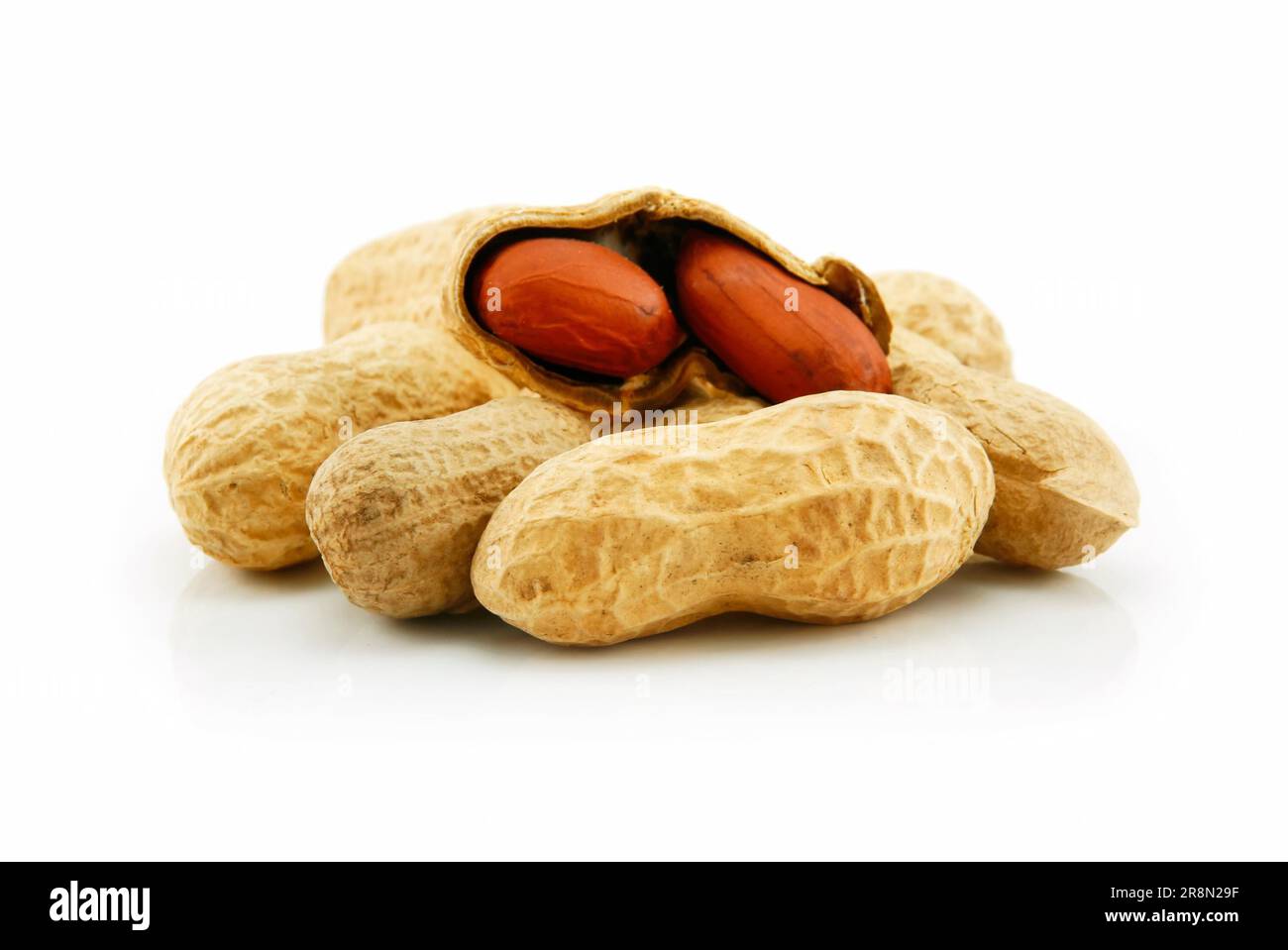 Ripe Dried Peanut Isolated on White Background Stock Photo - Alamy