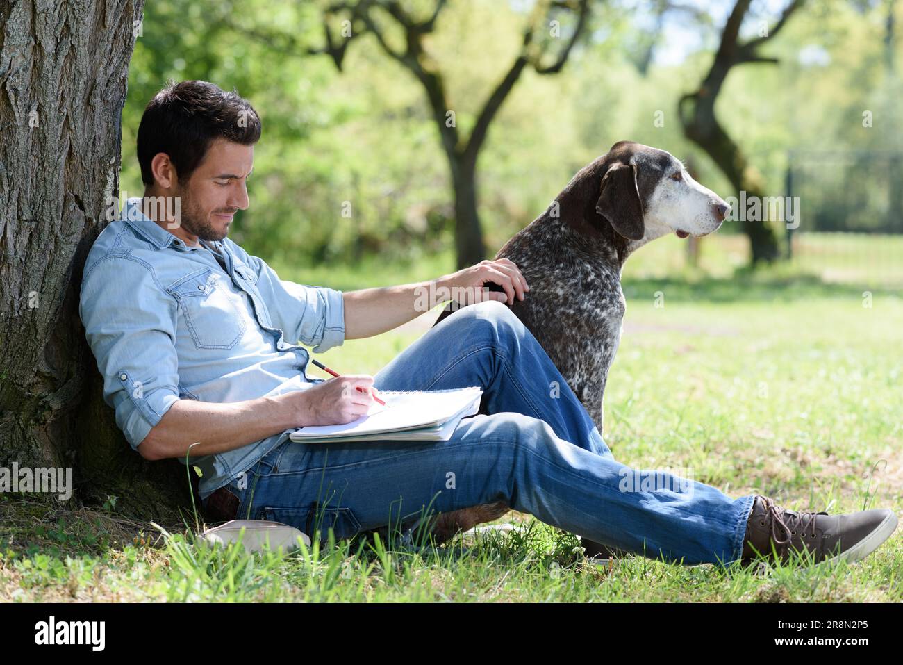 portrait of a man and dog outdoors Stock Photo - Alamy