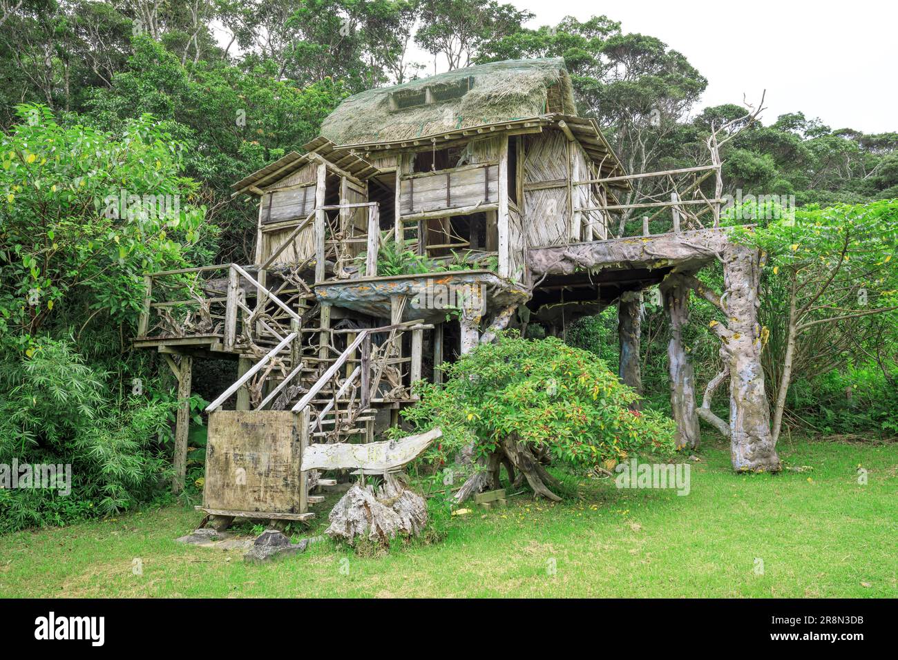 Yanbaru Learning Forest Stock Photo - Alamy