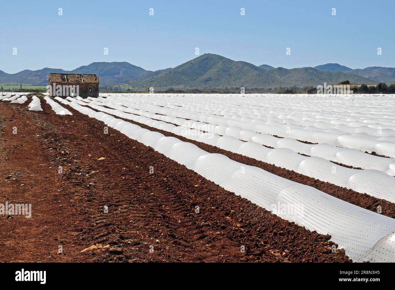 Farm sheets hi-res stock photography and images - Alamy