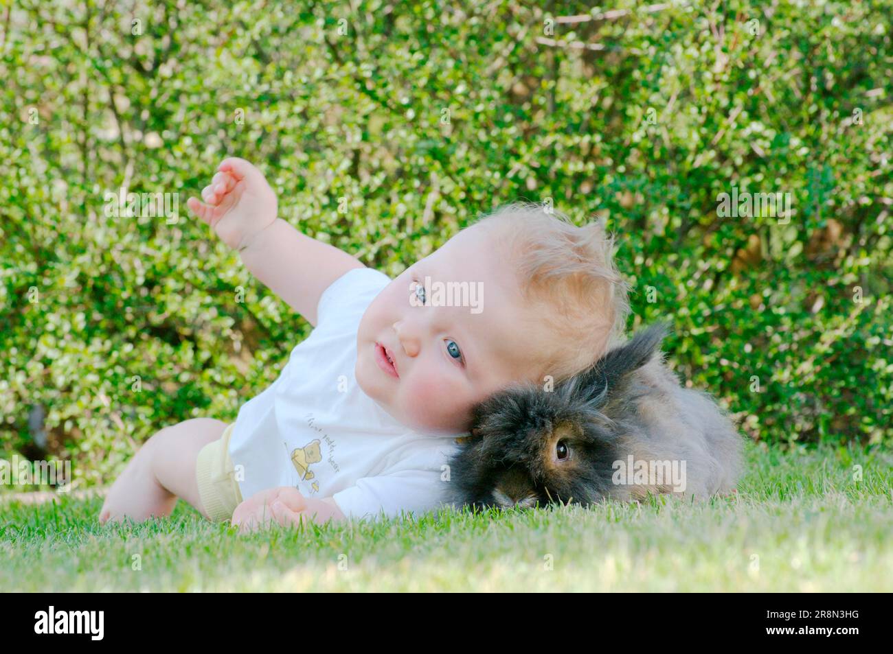 Baby with angora rabbit, domestic rabbit Stock Photo - Alamy