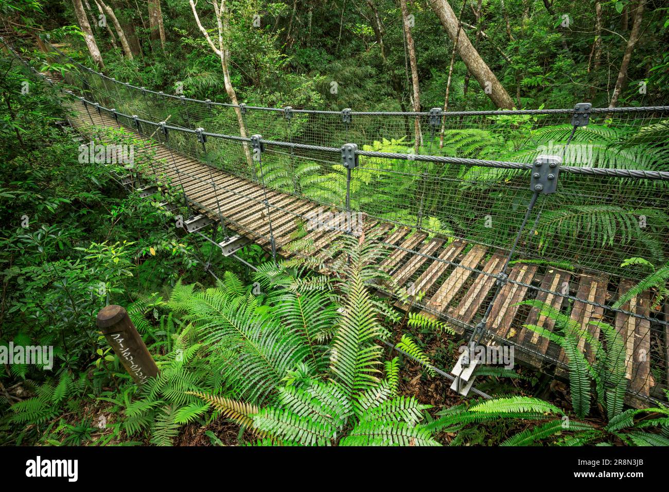 Yanbaru no mori hi-res stock photography and images - Alamy