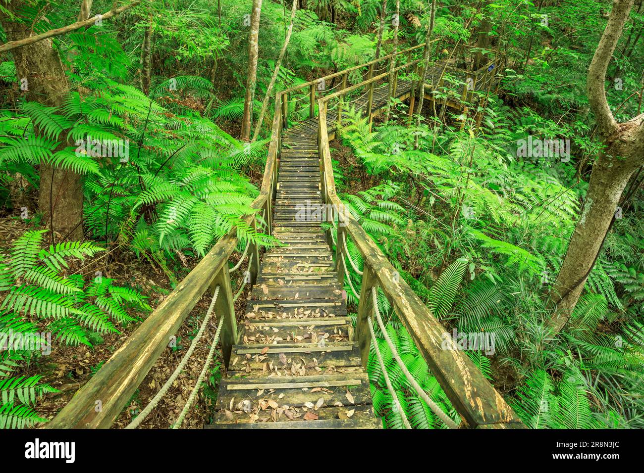 Yanbaru no mori hi-res stock photography and images - Alamy