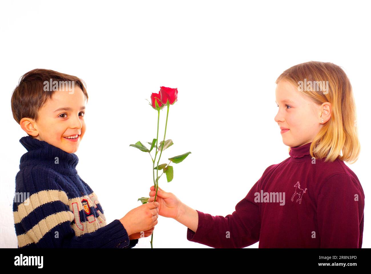 Boy hands over roses Girl hands over, hand over, give, give, give, give ...