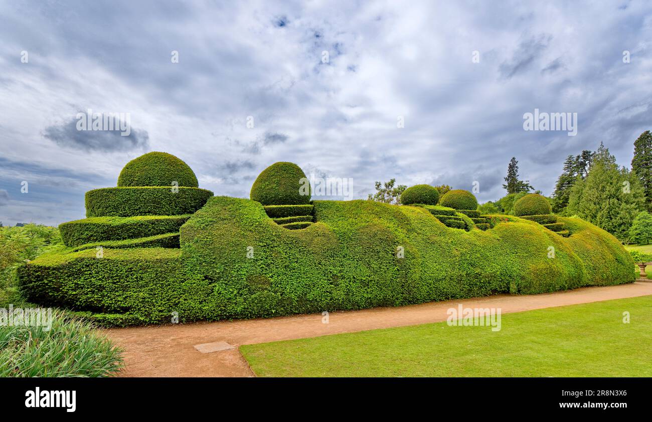 Crathes Castle Banchory Aberdeenshire Scotland the long large topiary ...