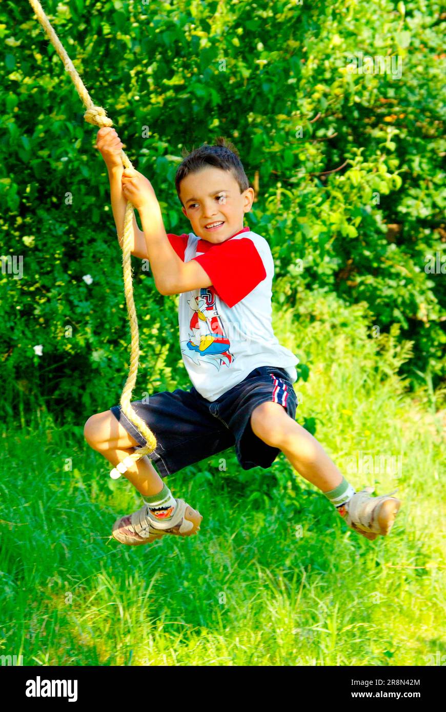 Boy swings on rope Stock Photo - Alamy