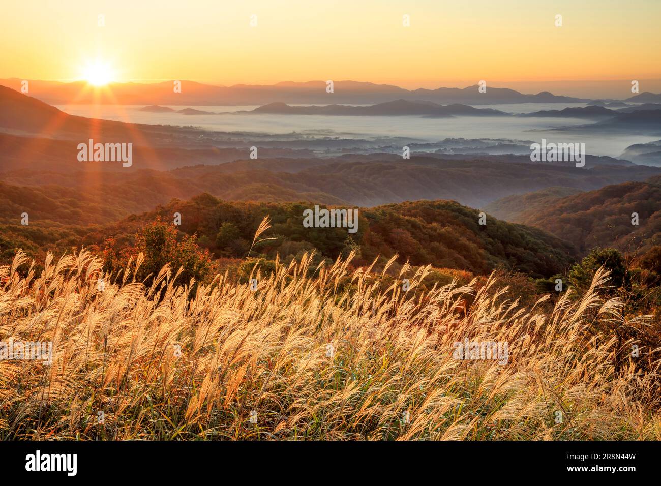 Sun over plateau hi-res stock photography and images - Alamy