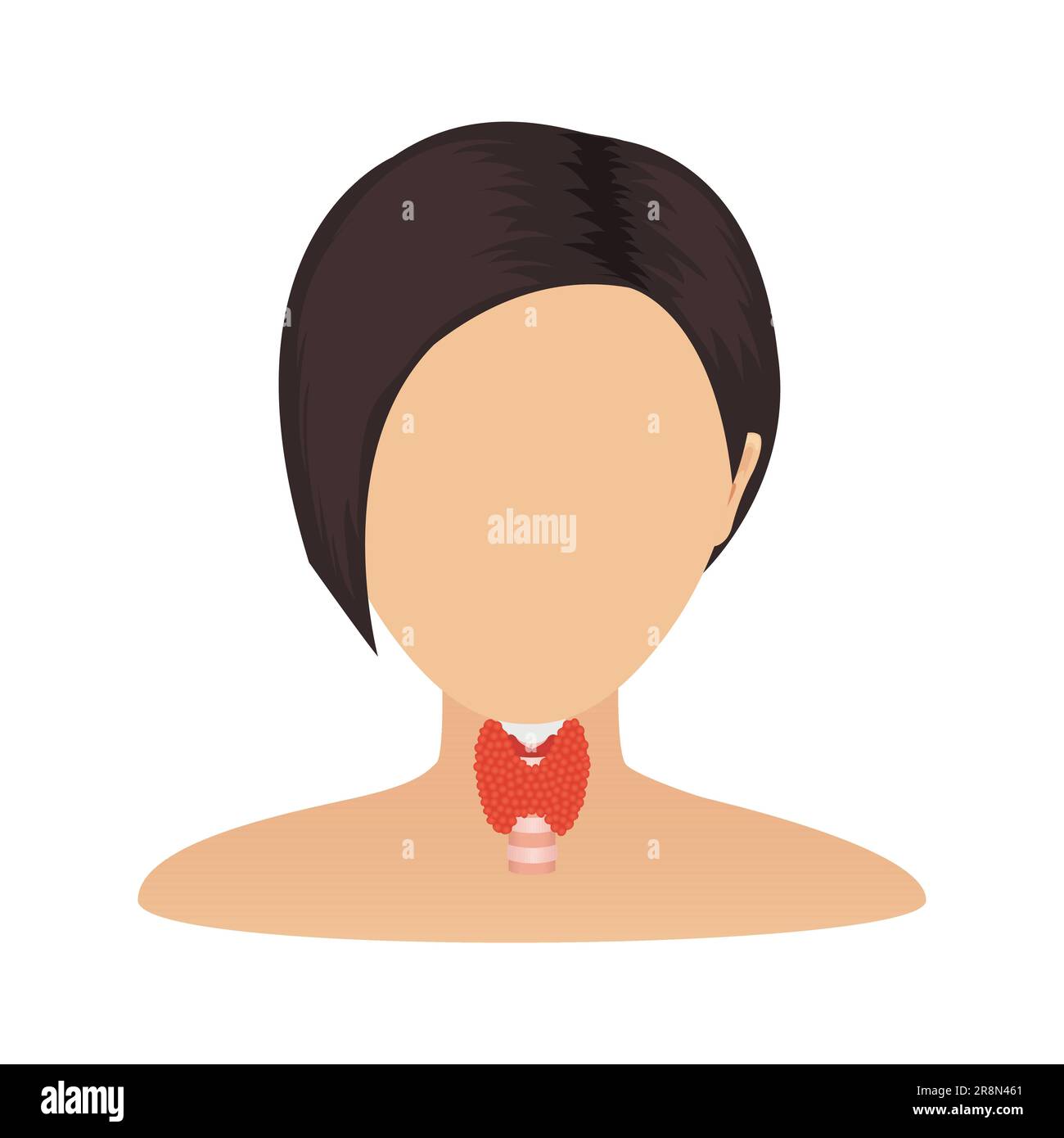 Thyroid gland organ on woman silhouette icon Stock Vector Image & Art ...