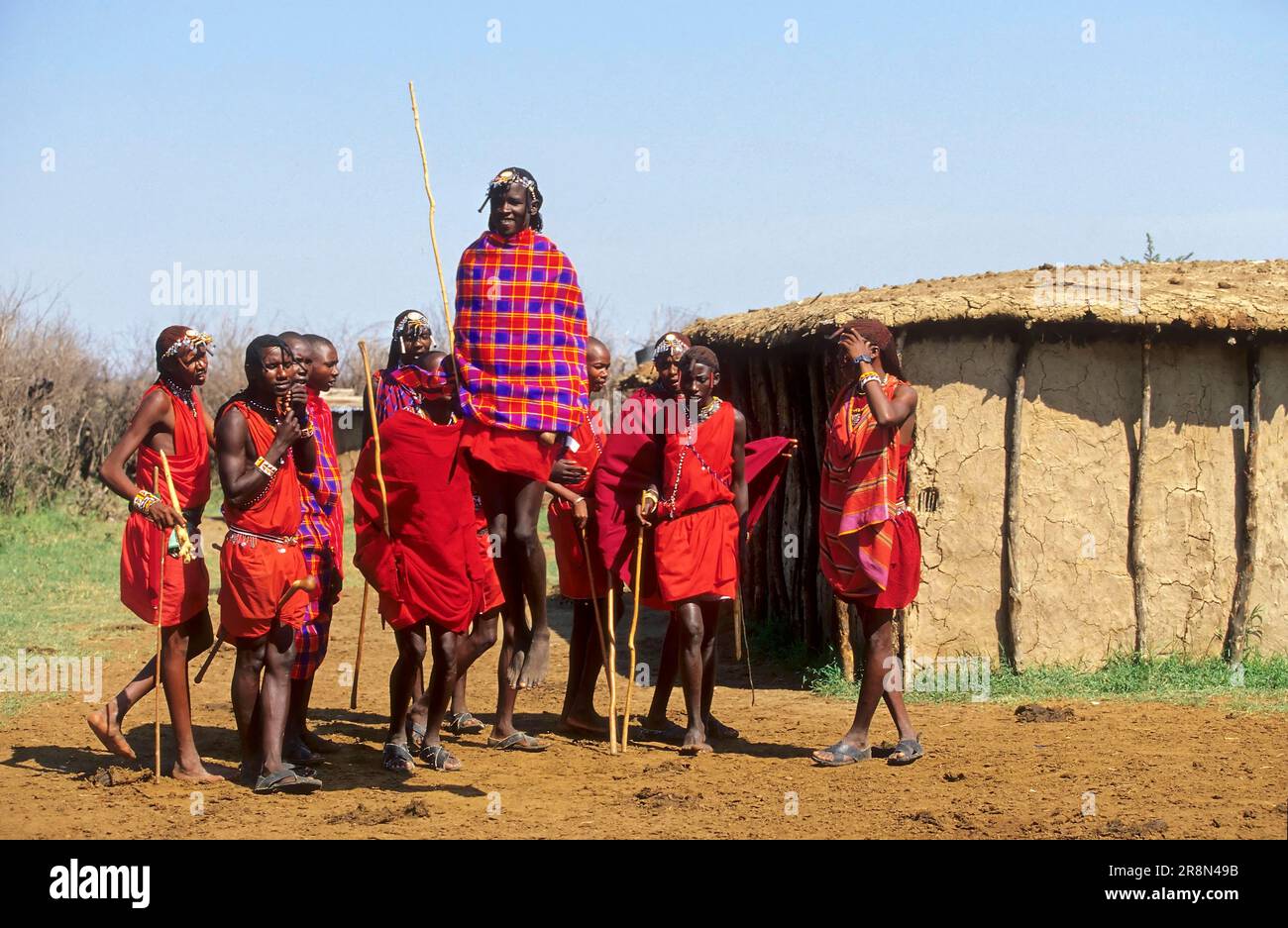 Maasai dancing, Kenya, East Africa Stock Photo - Alamy