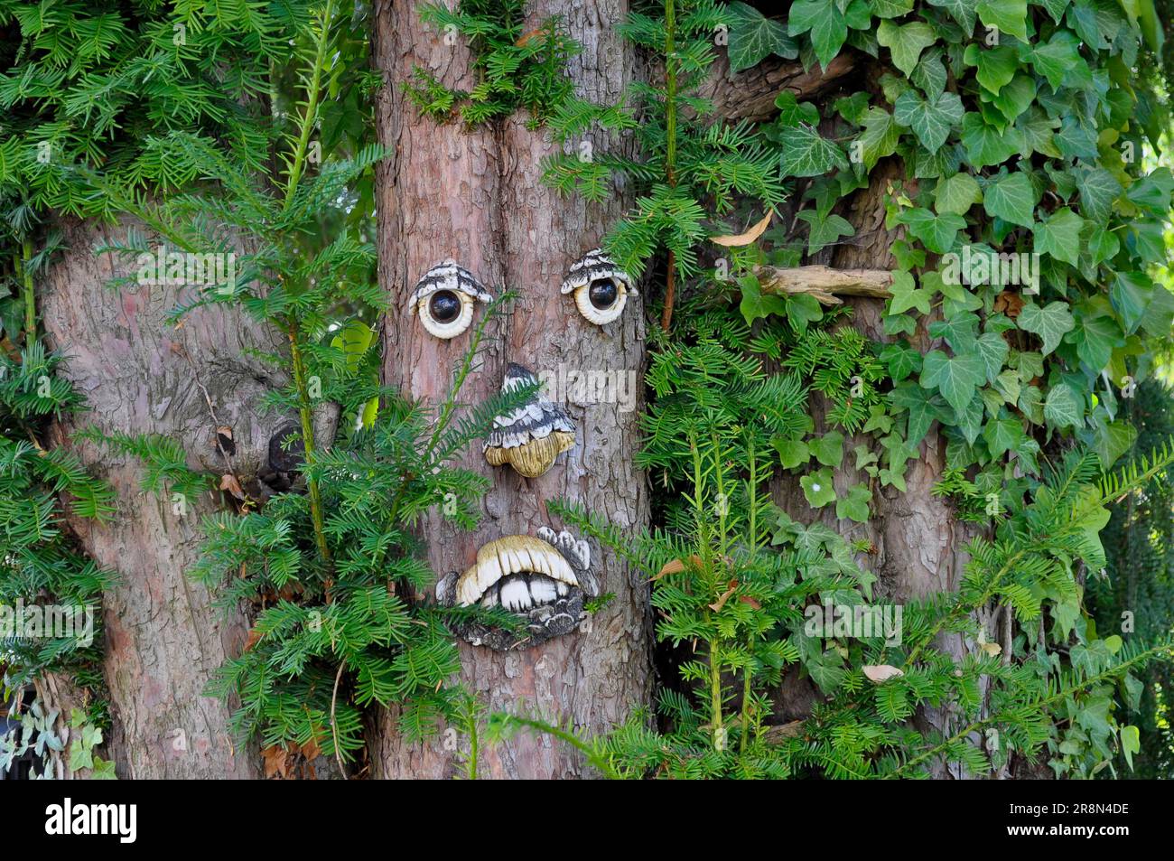 North, Black Forest : Gernsbach, Tree with face Stock Photo - Alamy