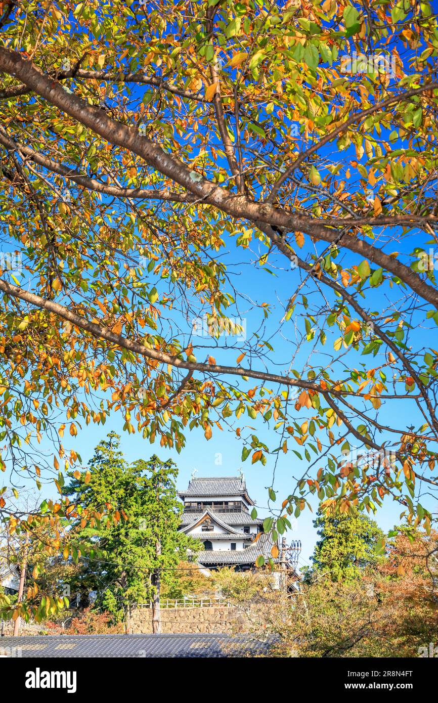 Matsue water lantern hi-res stock photography and images - Alamy