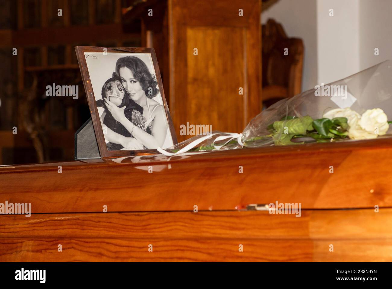 A portrait of the artist on top of the coffin of Carmen Martínez ...
