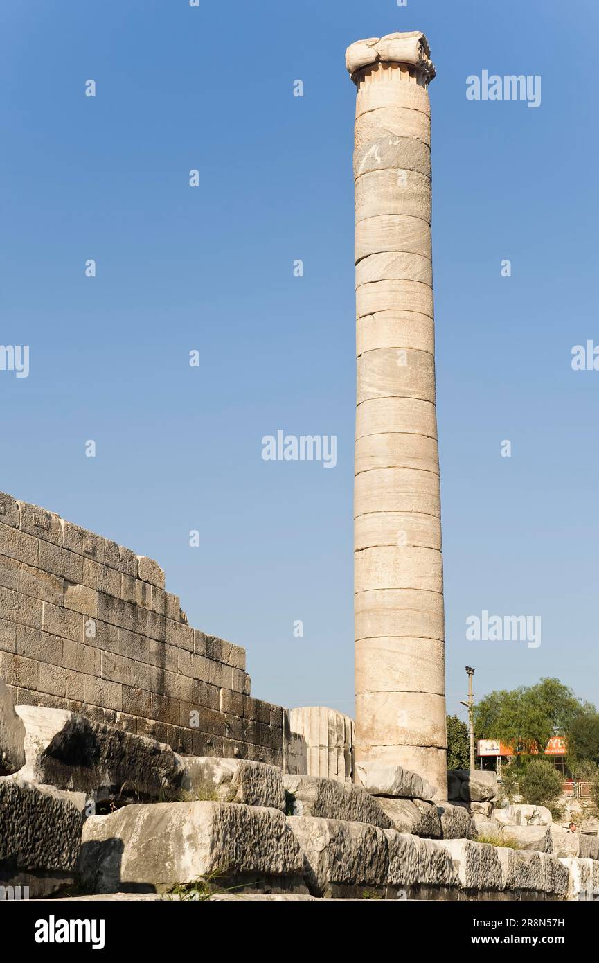 Ionic Columns, Didyma, Turkey, Temple of Apollo, Temple of Apollo Stock ...