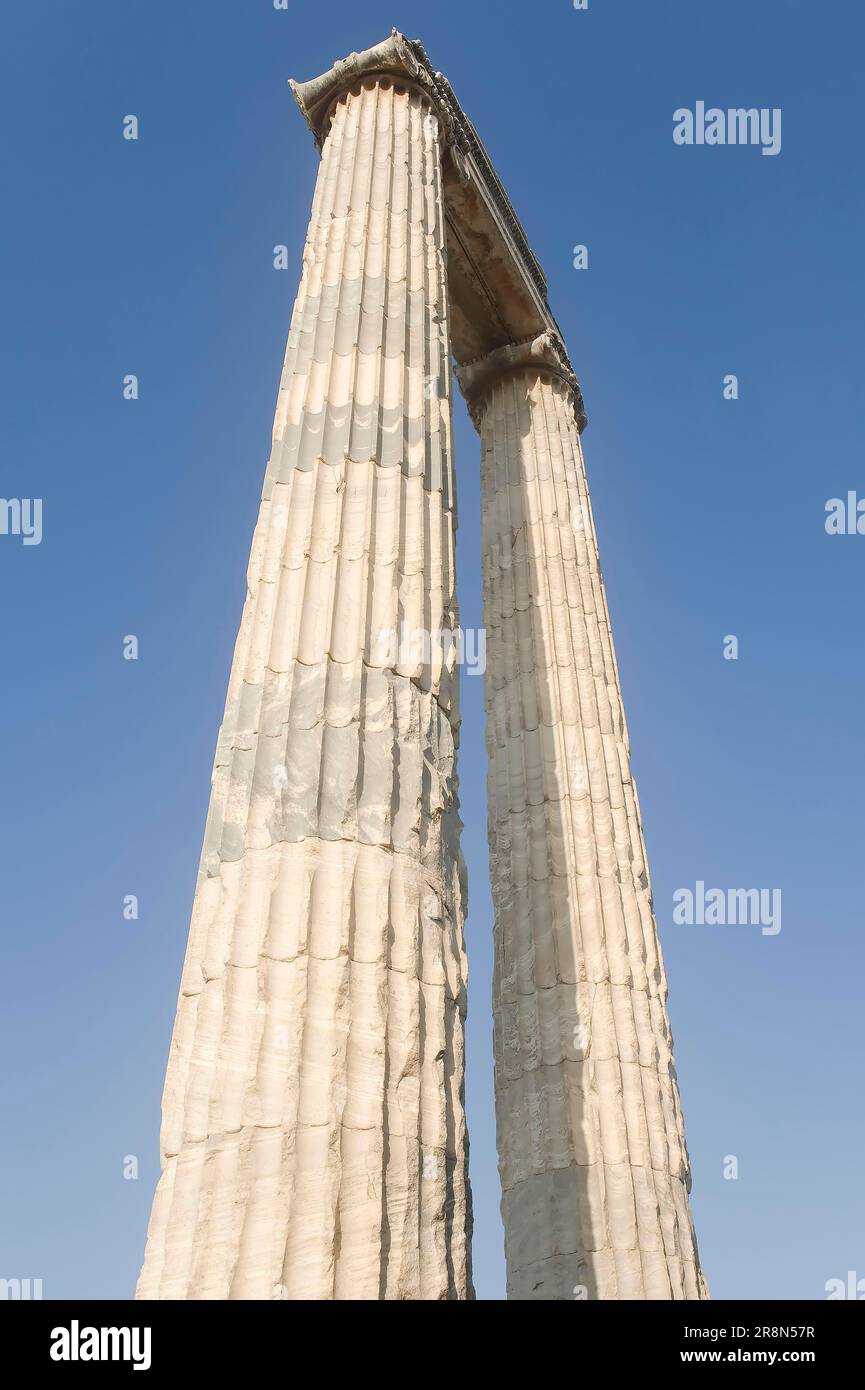 Ionic Columns, Didyma, Turkey, Temple of Apollo, Temple of Apollo Stock ...