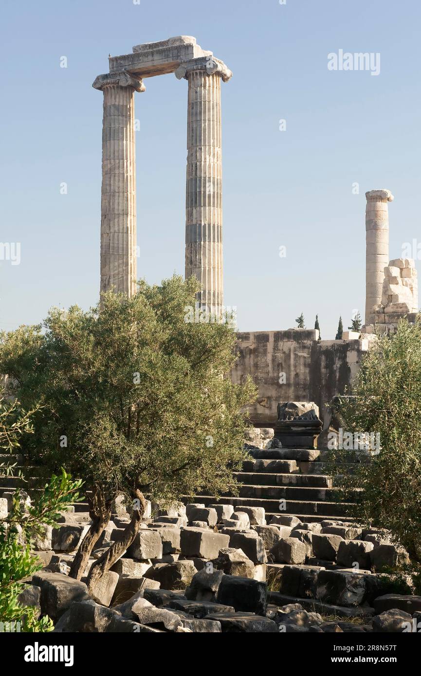 Didyma, Turkey, Temple of Apollo, Temple of Apollo Stock Photo - Alamy