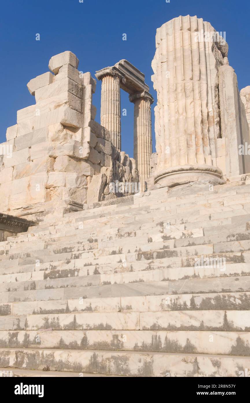 Ionic Columns, Didyma, Turkey, Temple of Apollo, Temple of Apollo Stock ...