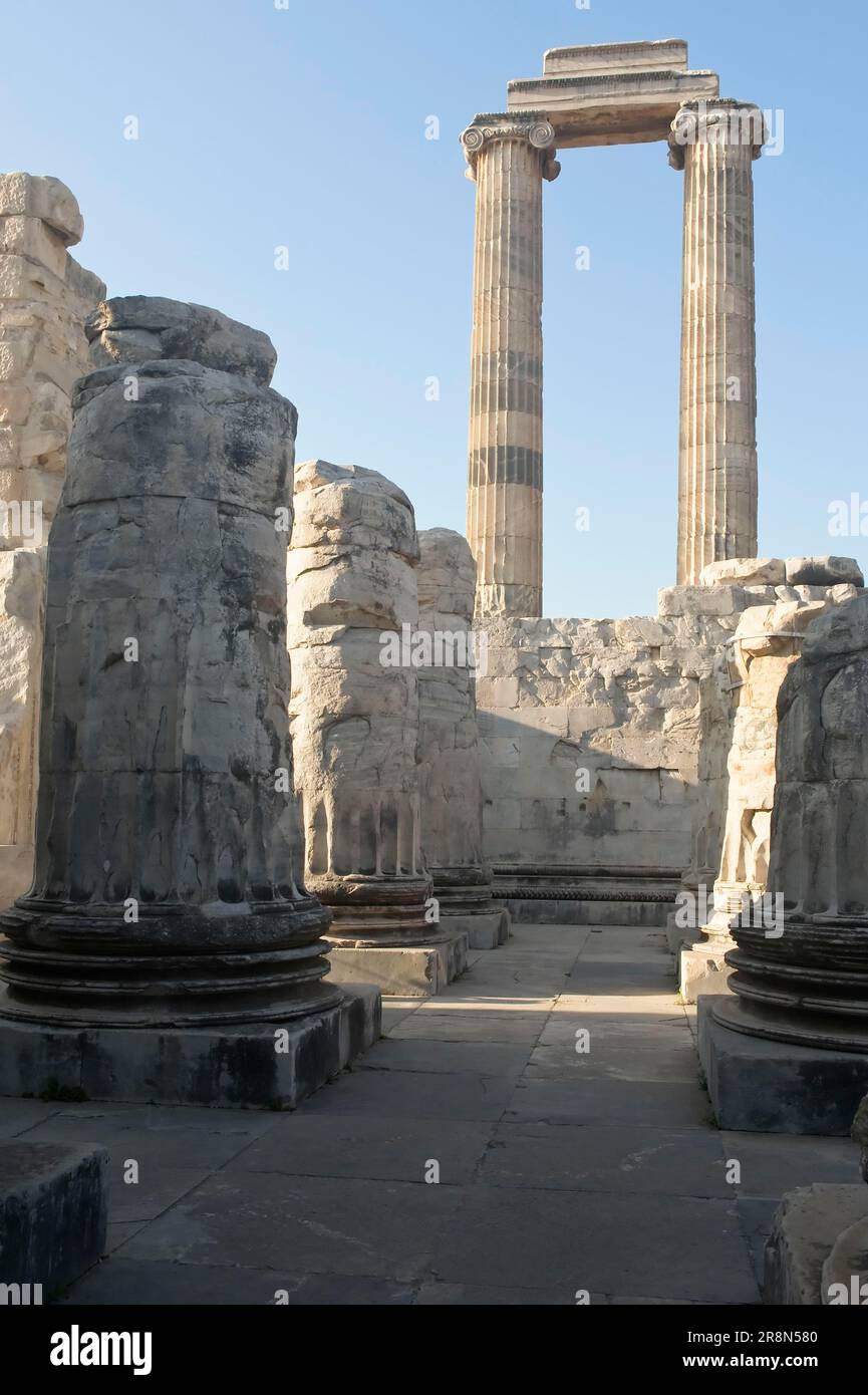 Ionic Columns, Didyma, Turkey, Temple of Apollo, Temple of Apollo Stock ...