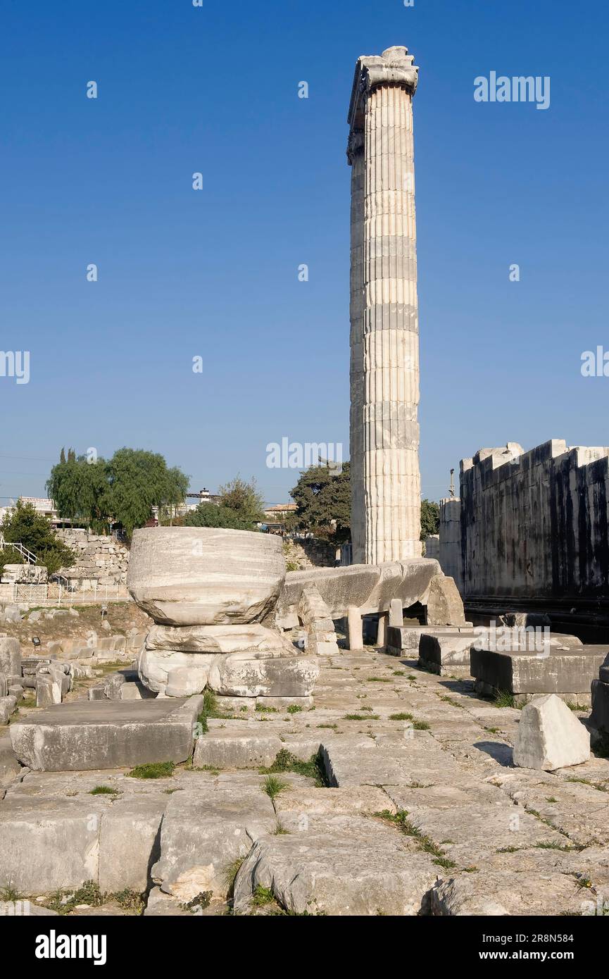 Ionic Columns, Didyma, Turkey, Temple of Apollo, Temple of Apollo Stock ...