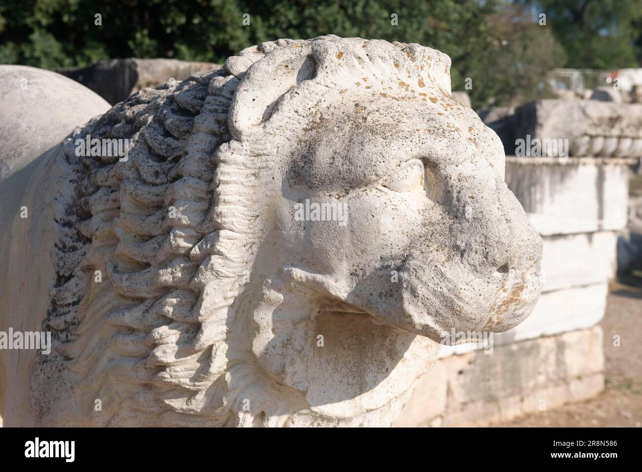 Lion statue, Didyma, Turkey, Temple of Apollo, Temple of Apollo Stock ...