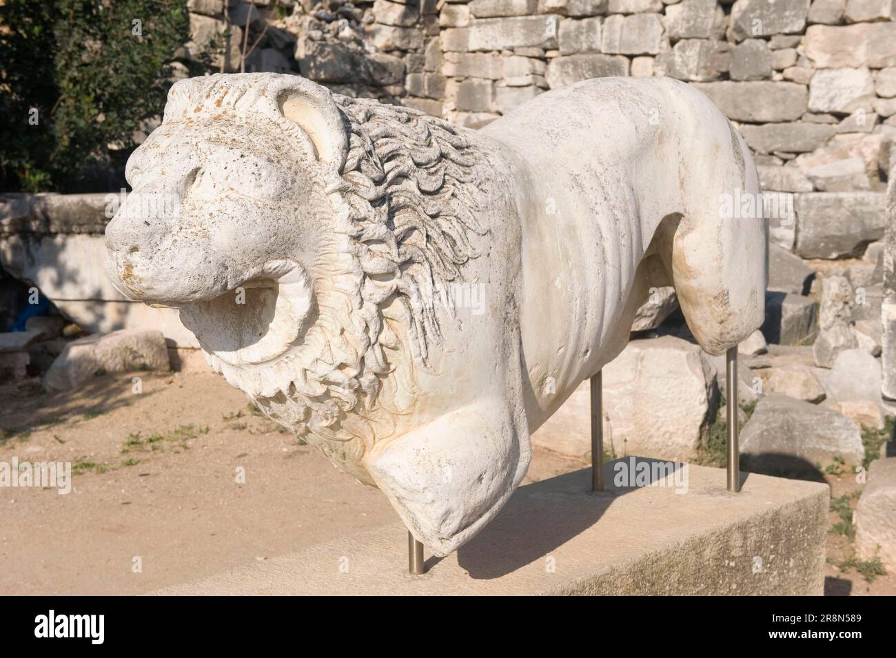 Lion statue, Didyma, Turkey, Temple of Apollo, Temple of Apollo Stock ...