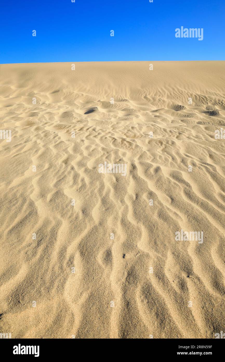 Tottori Sand Dunes Stock Photo - Alamy
