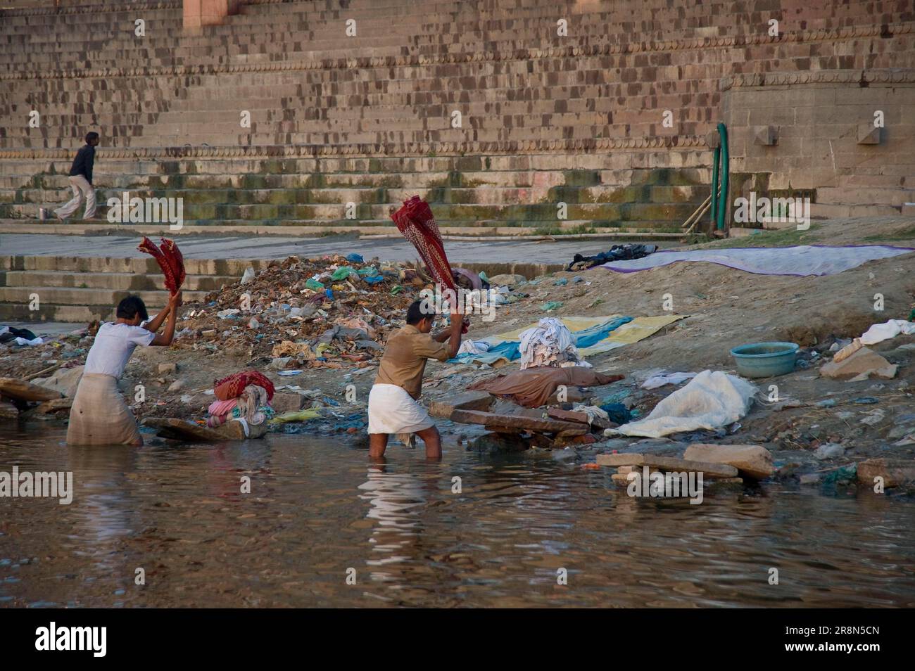 Indians washing clothes in the Ganges, Varanasi, Benares, Uttar Pradesh ...