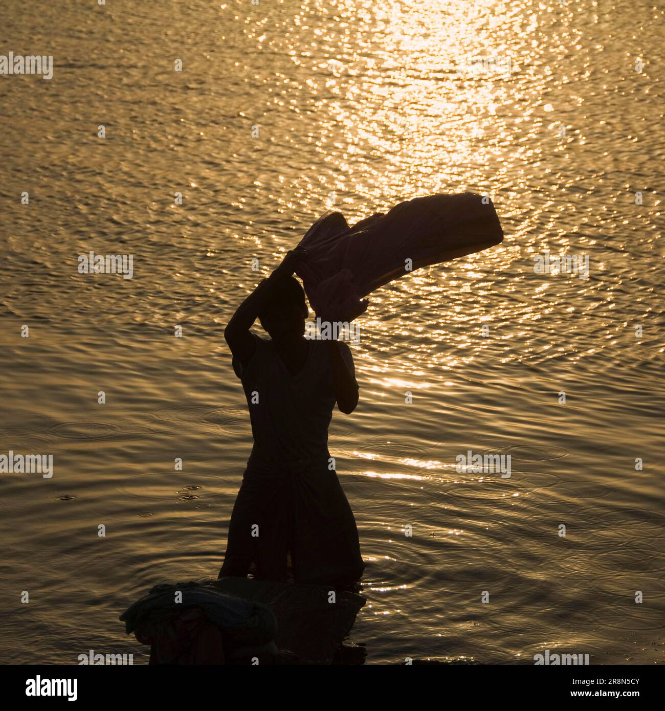 Indian man washing clothes in the river Ganges, Varanasi, Benares ...