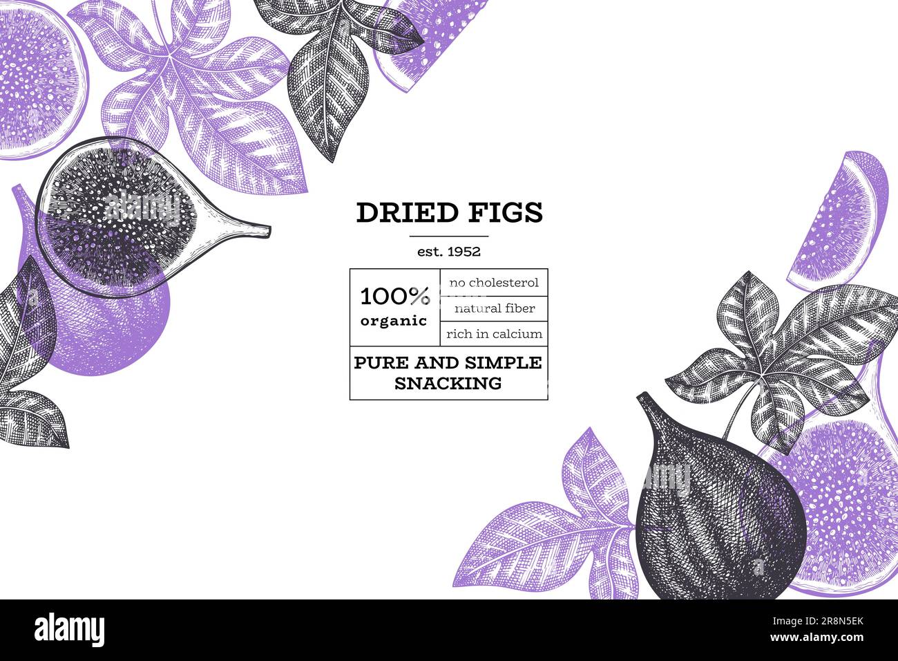 Hand drawn fig fruits design template. Organic fresh food vector ...