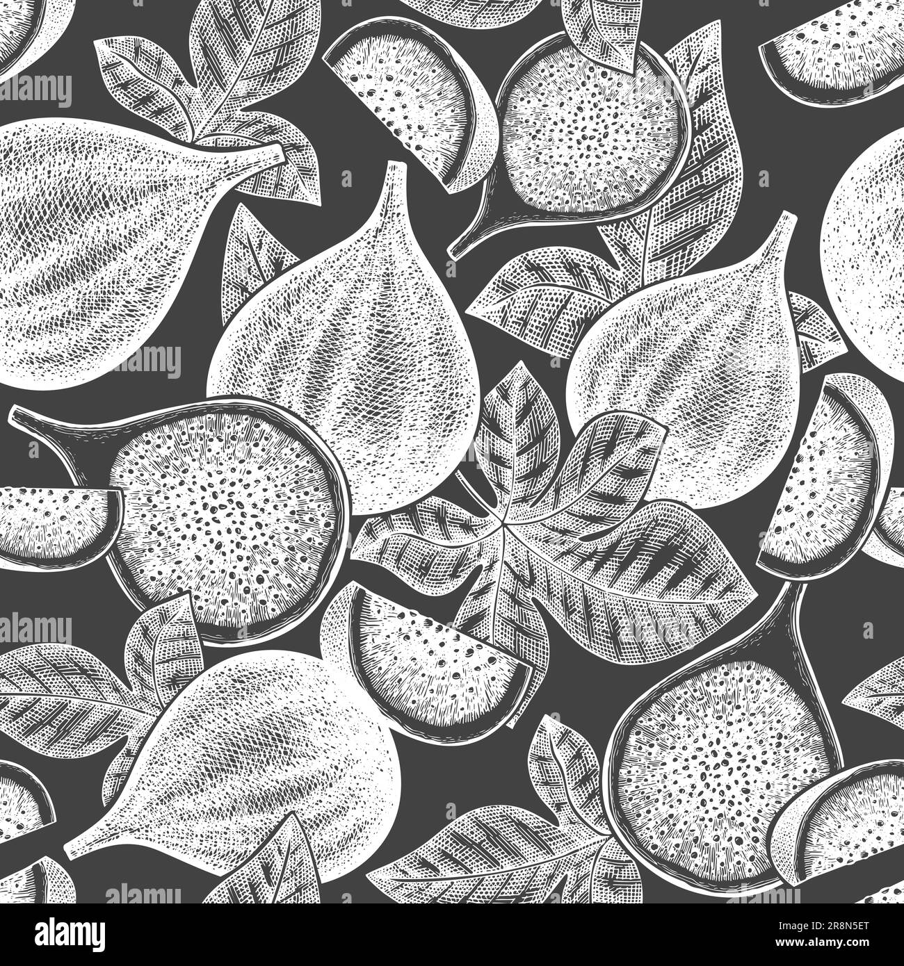 Hand drawn fig fruits seamless pattern. Organic fresh food vector ...