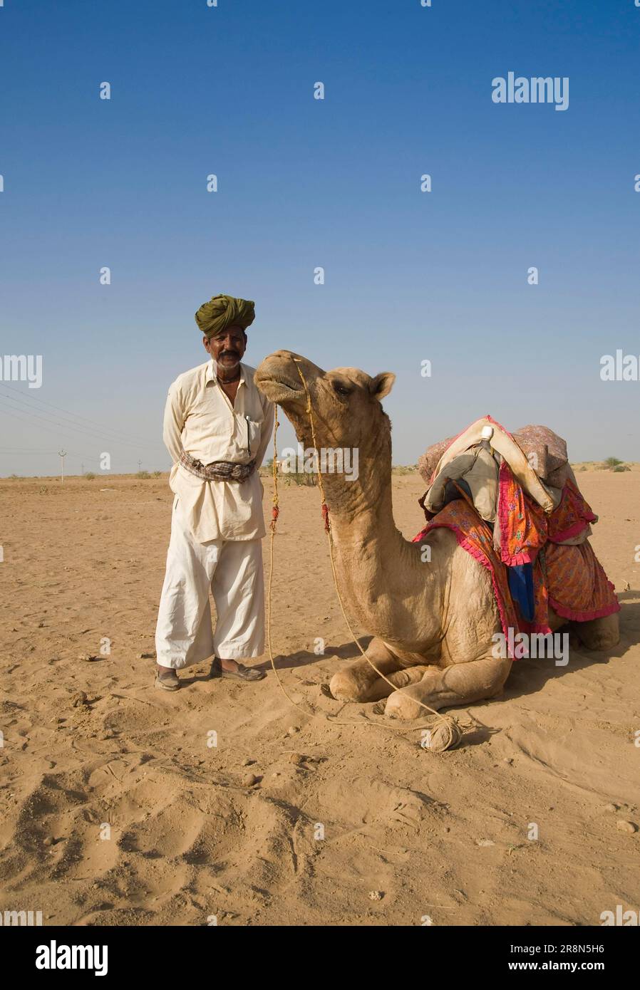 Camel driver with dromedary (Camelus dromedarius) in Thar Desert ...