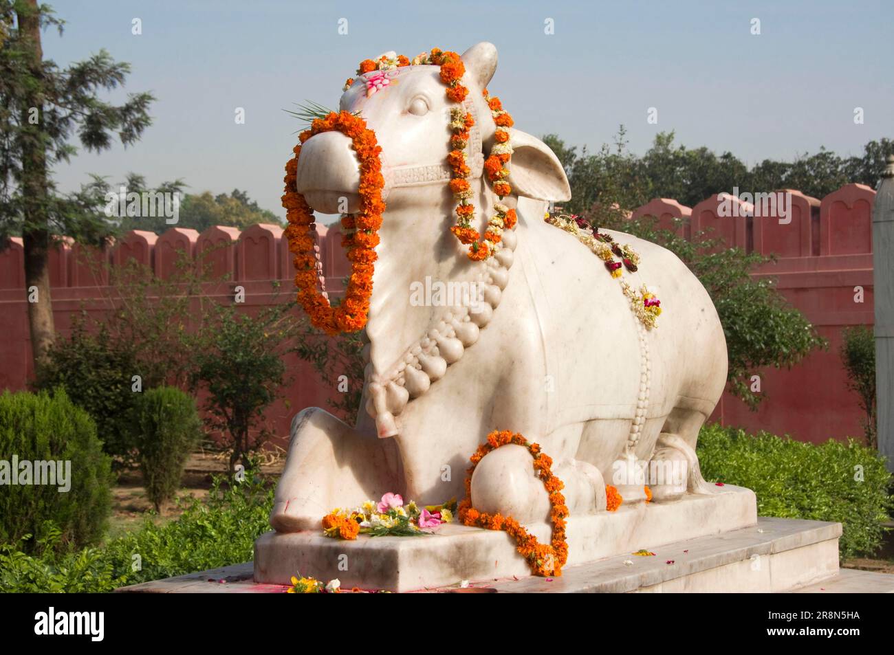 Holy Cow Statue, Birla Mandir, New Vishvanath Temple, Hindu University ...
