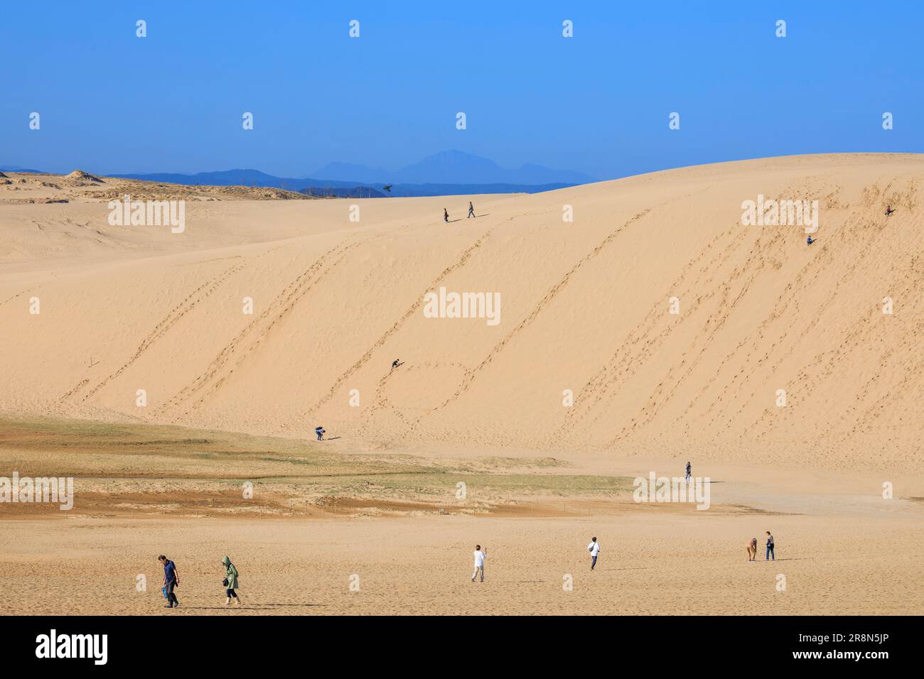 Sand dunes autumn hi-res stock photography and images - Alamy