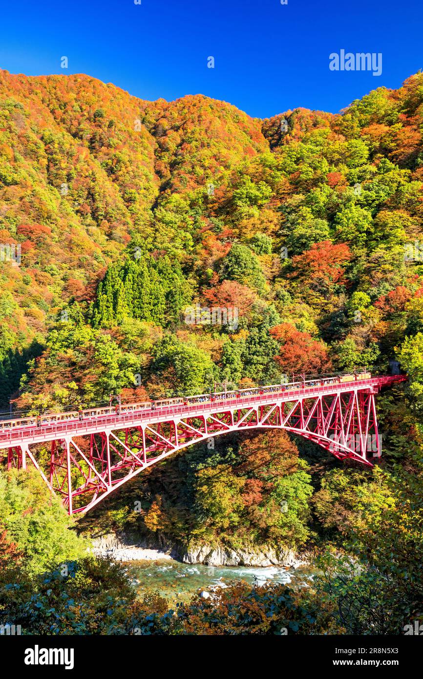 Kurobe Gorge Railway and autumn leaves Stock Photo - Alamy