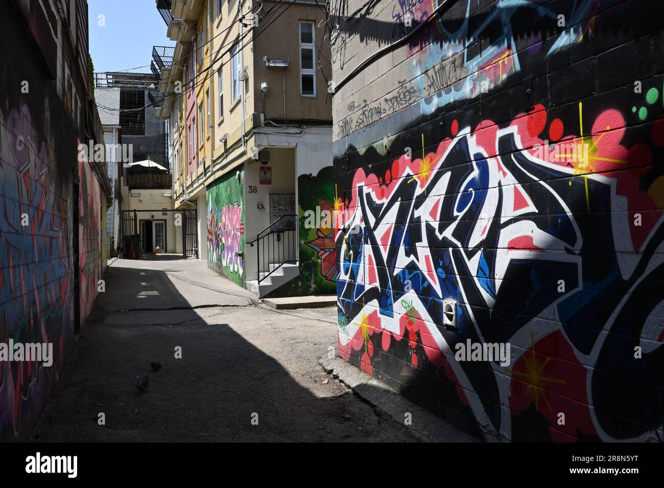 Graffiti in Kensington Market, Toronto, Canada, seen on May 27th 2023 ...