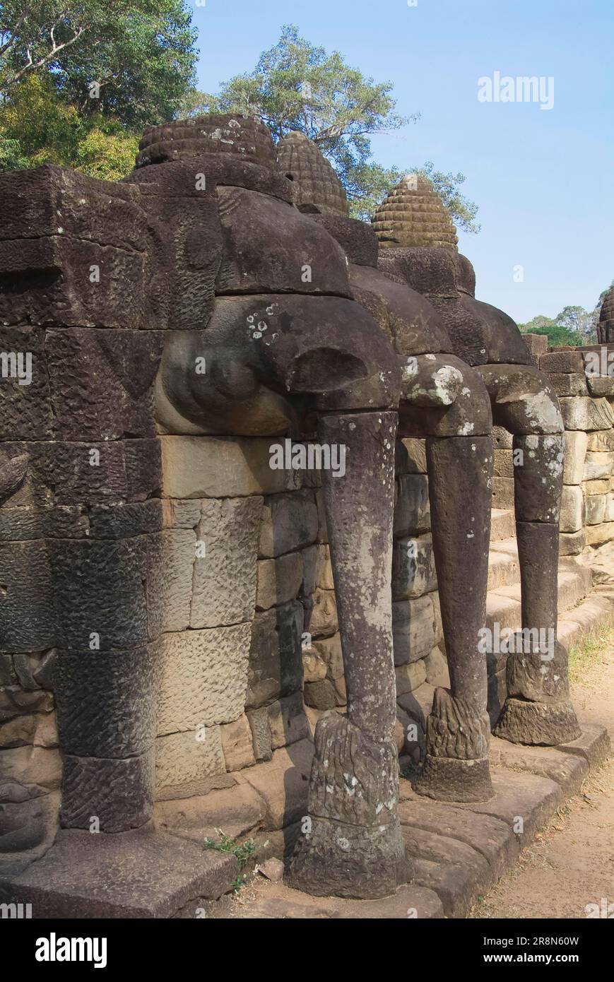 Three-headed elephants picking lotus flowers with their trunks ...