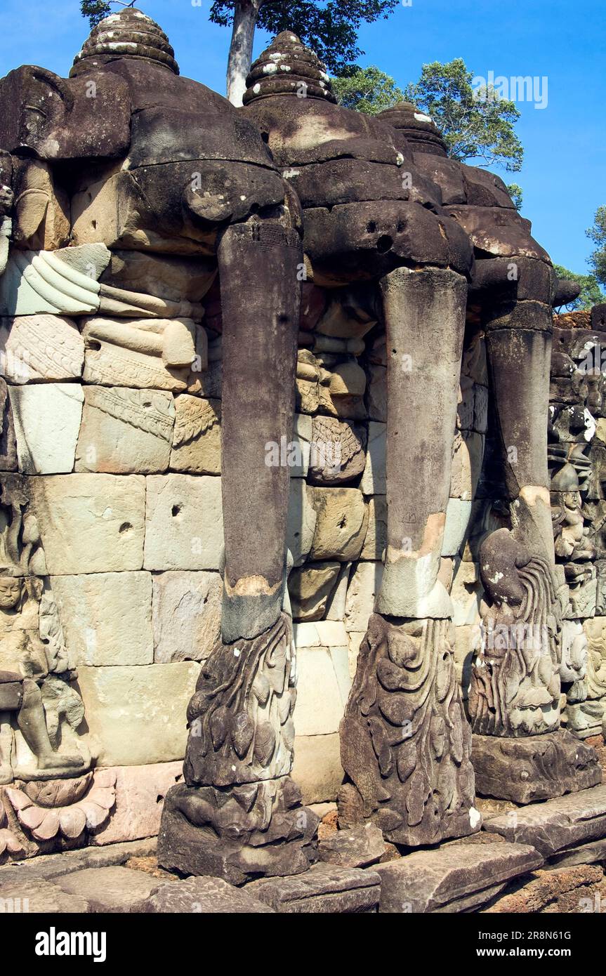 Three-headed elephants picking lotus flowers with their trunks ...