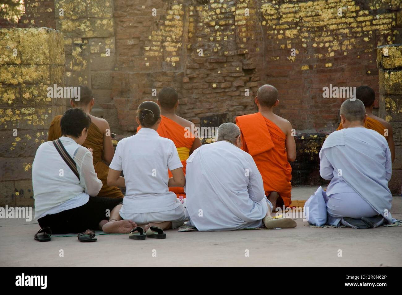 Monks and devotees in front of wall covered with gold leaves, Mulgandha ...