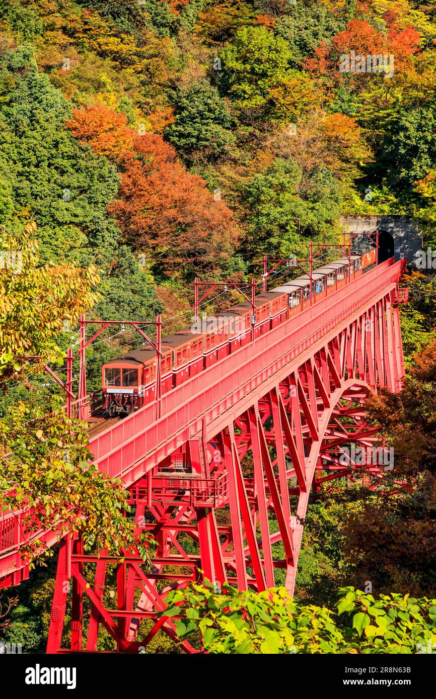 Kurobe Gorge Railway and autumn leaves Stock Photo - Alamy