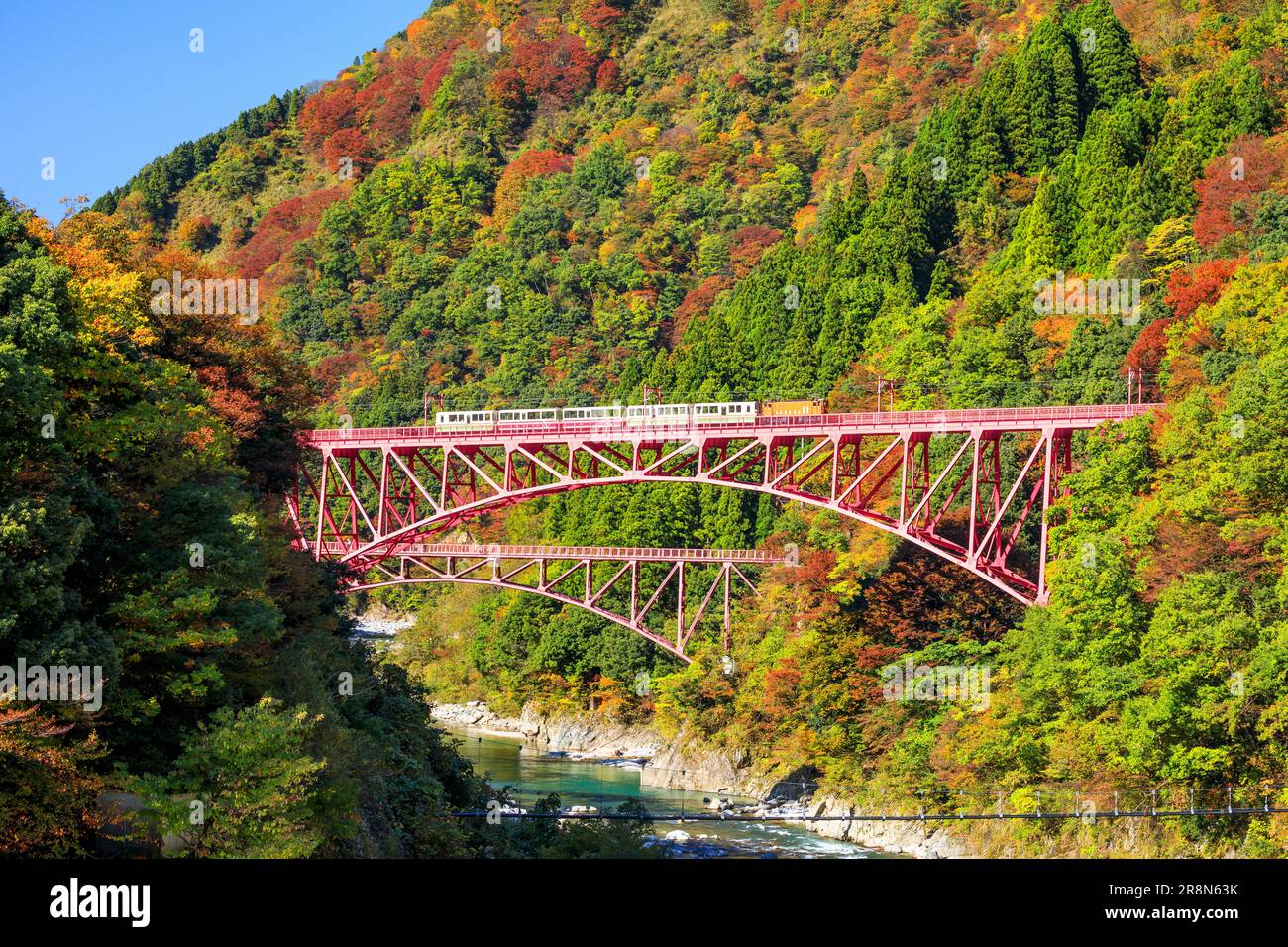 Kurobe Gorge Railway and autumn leaves Stock Photo - Alamy