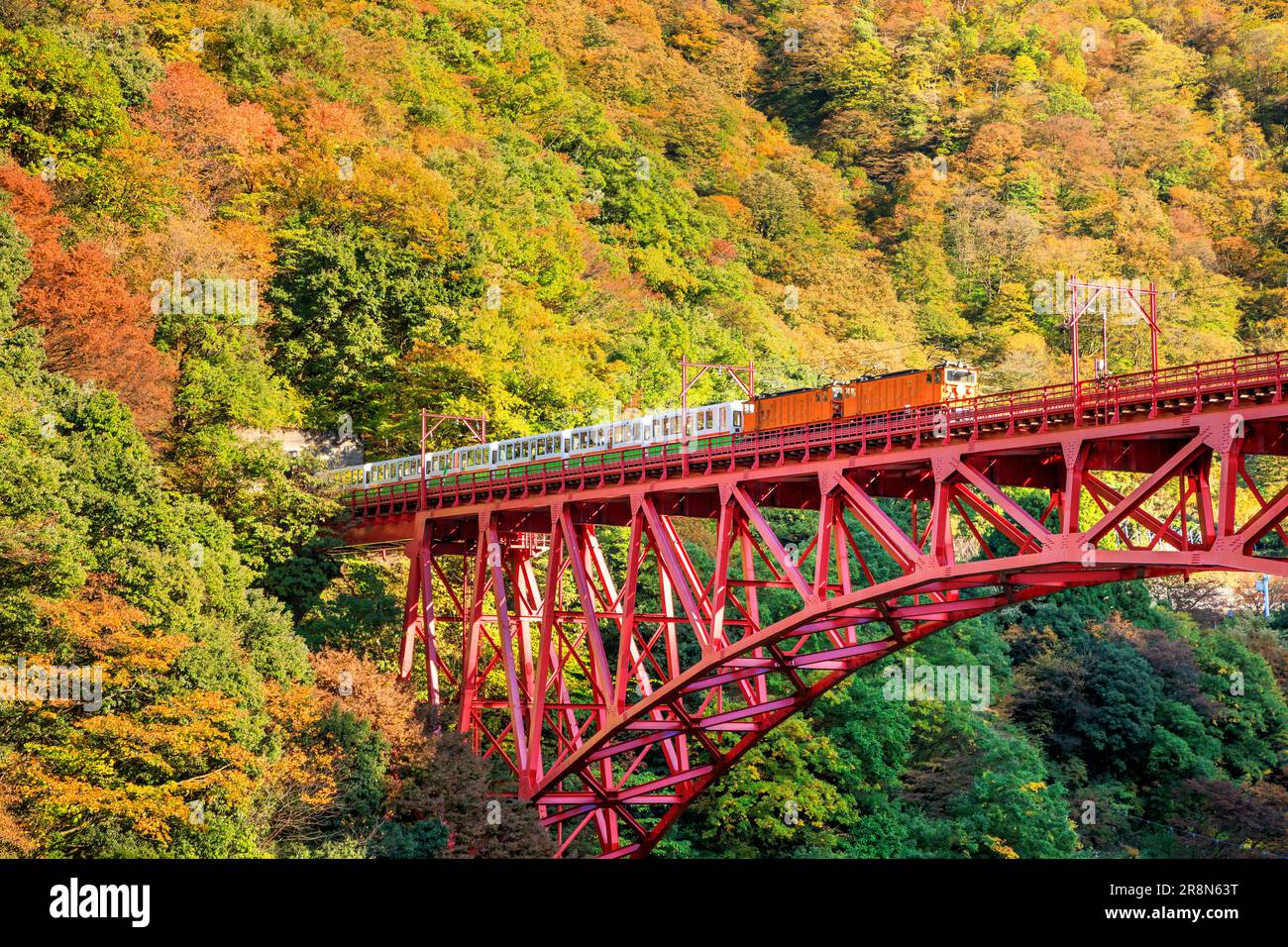 Kurobe Gorge Railway and autumn leaves Stock Photo - Alamy