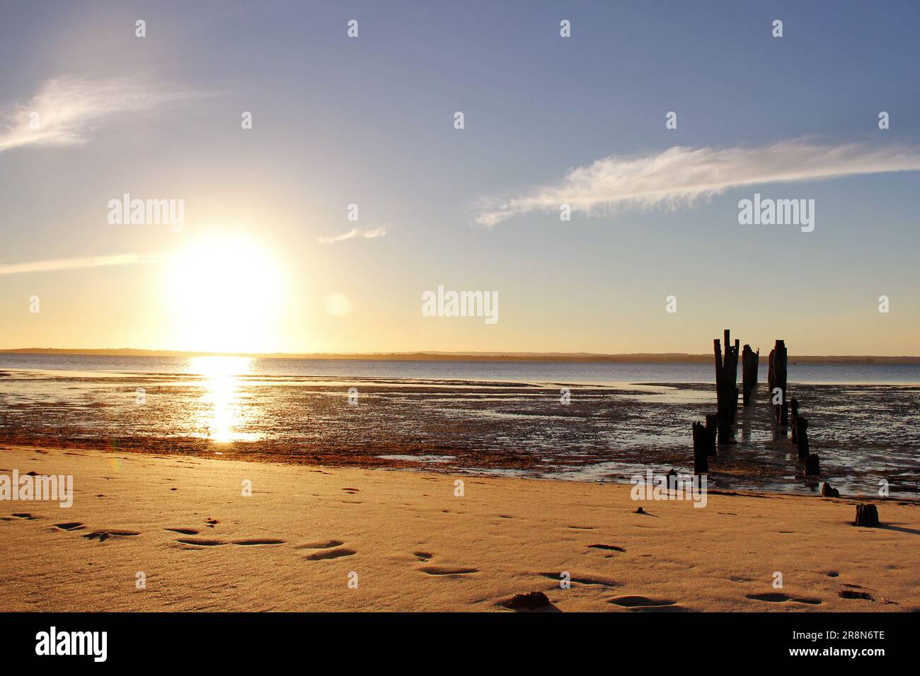 French island, victoria, australia hi-res stock photography and images ...