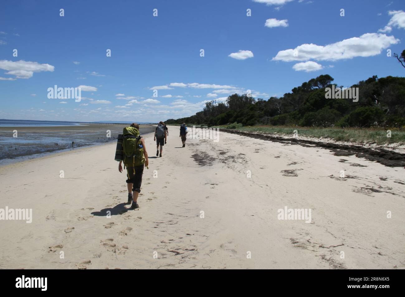 Trekking on French Island, Australia Stock Photo - Alamy