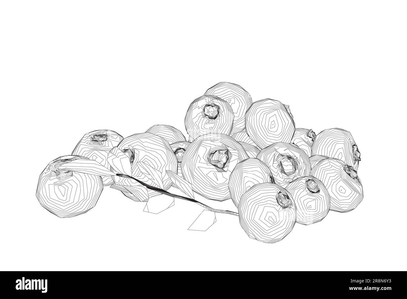 Outline Vector Blueberry black and white engraved ink art. Berries and ...