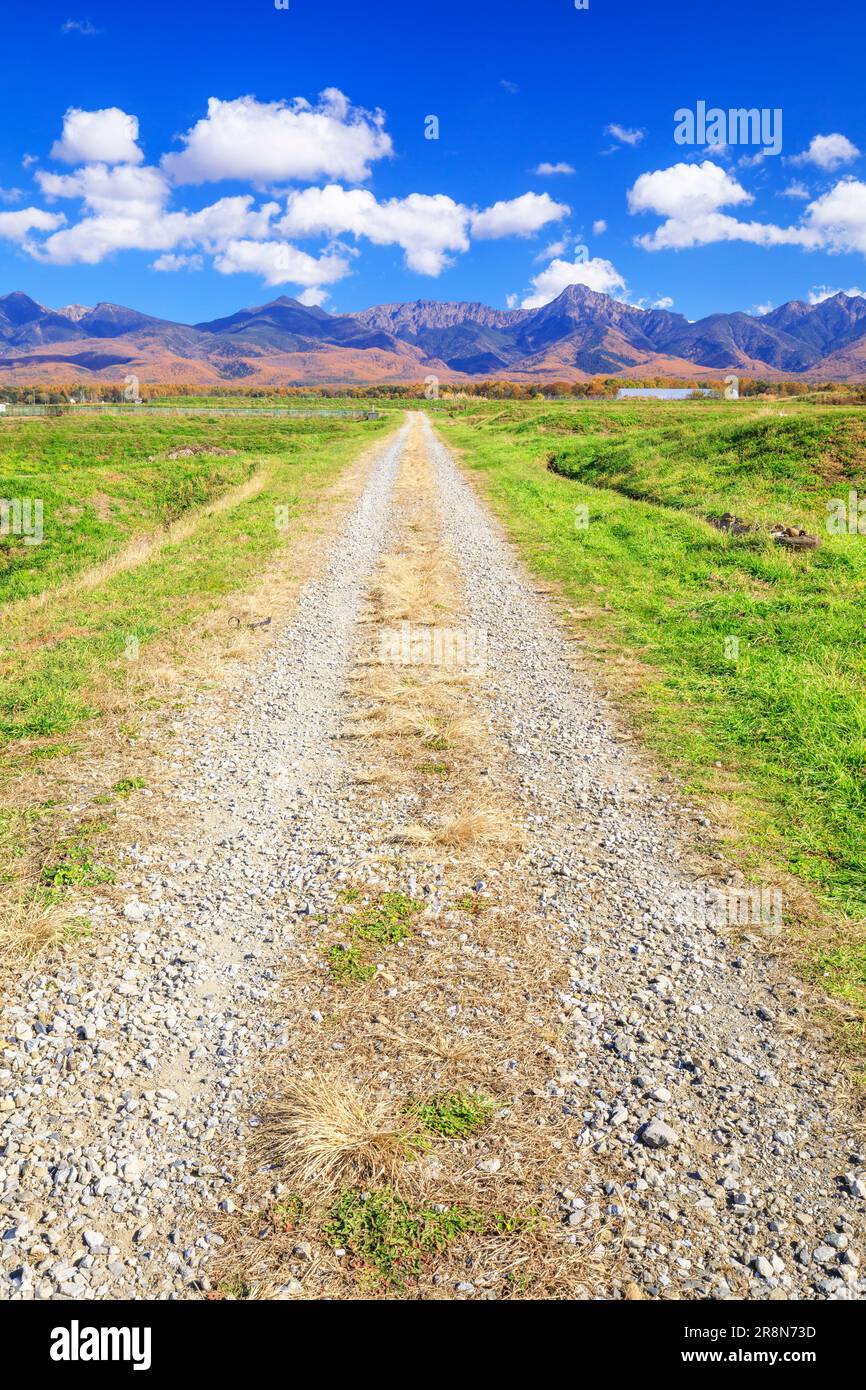Farm road hi-res stock photography and images - Alamy