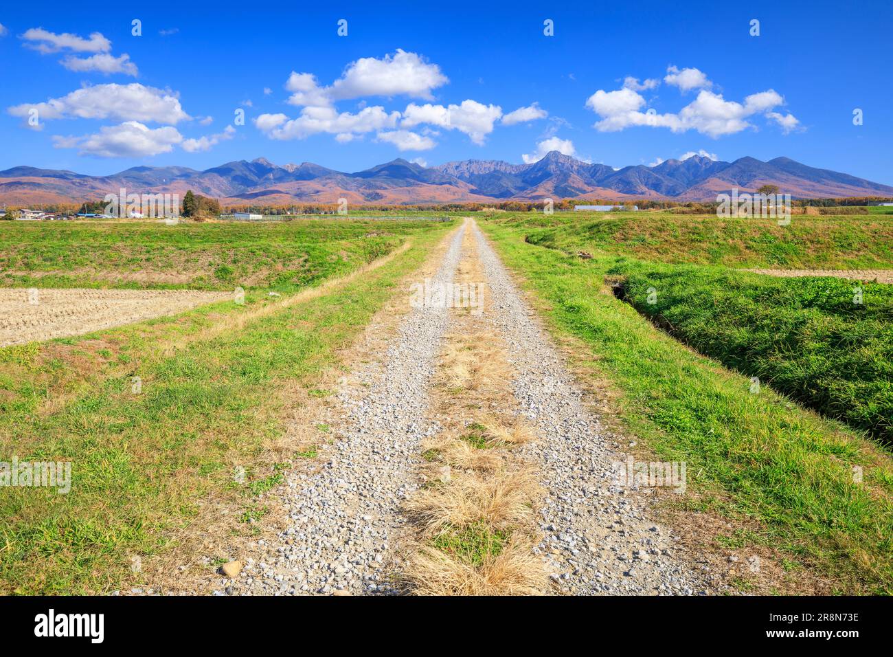 Farm road hi-res stock photography and images - Alamy