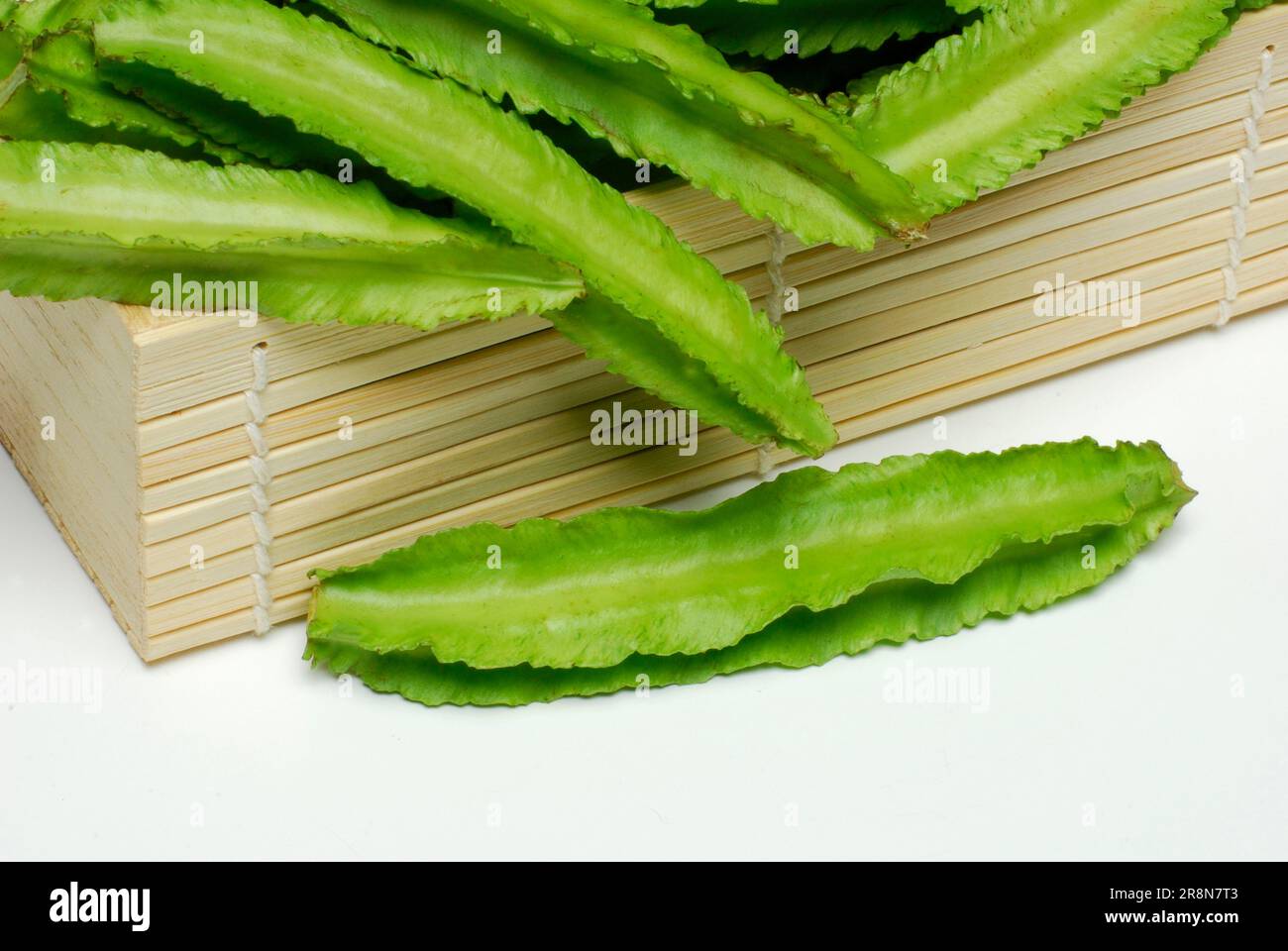 Winged beann (Psophocarpus tetragonolobus), Winged bean Stock Photo - Alamy