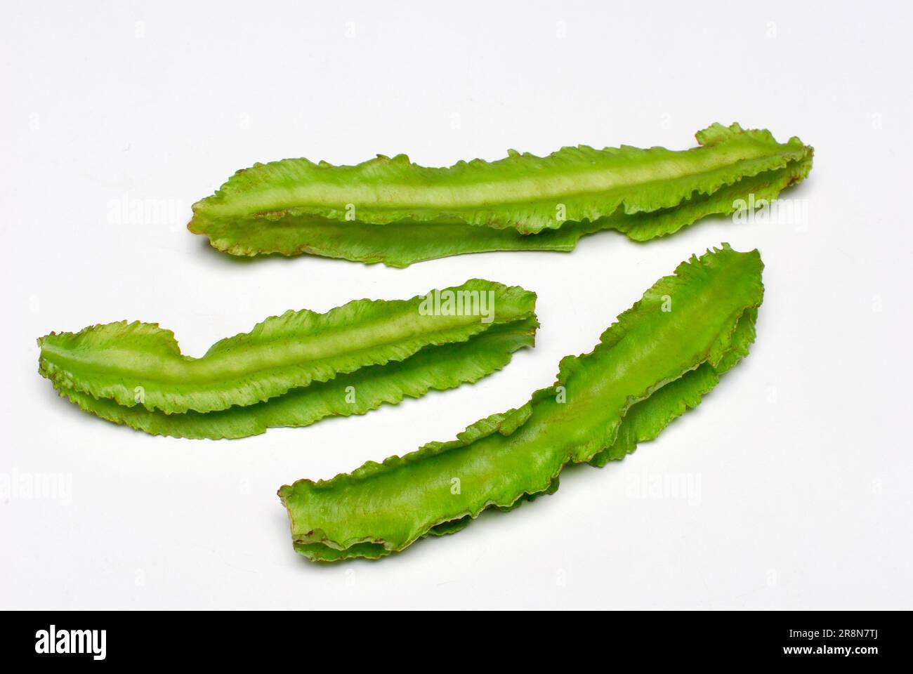 Winged beann (Psophocarpus tetragonolobus), Winged bean Stock Photo - Alamy
