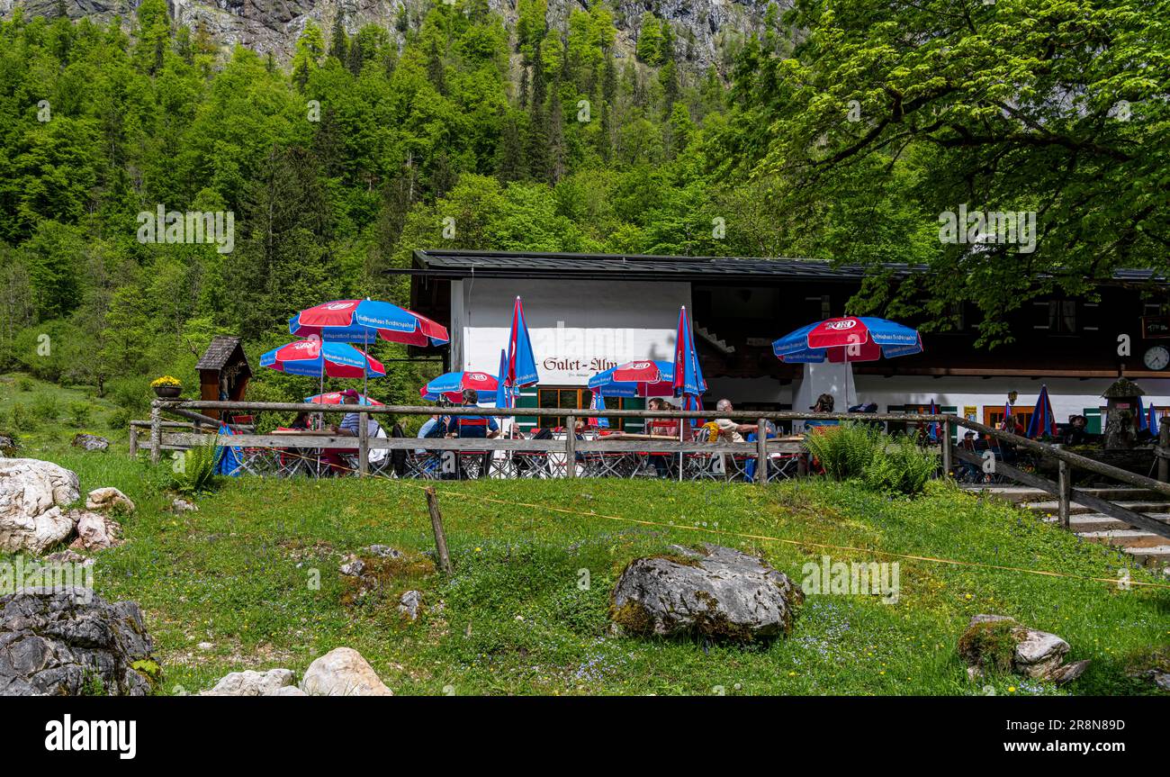 Salet alp hi-res stock photography and images - Alamy